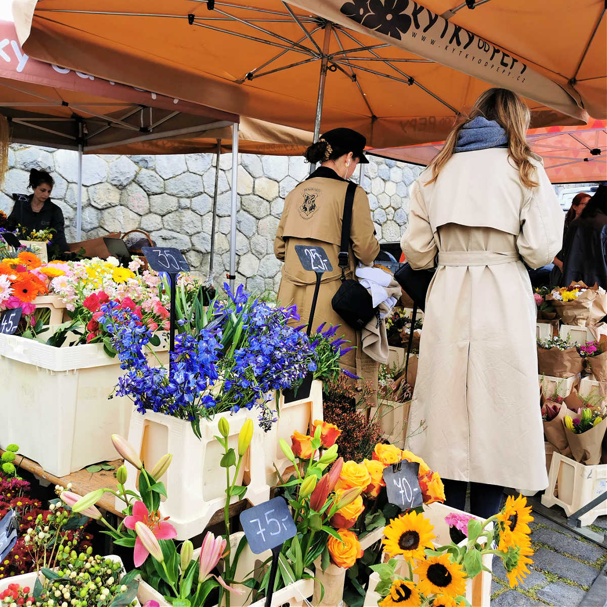 Holesovice Market: From slaughterhouse to art, food & cultural hub – View from Prague